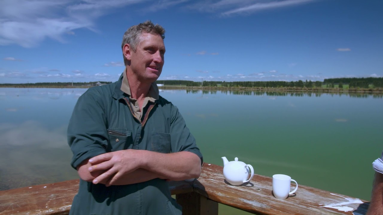 Geoff Spark chats with Darcy Bishop - 'tools down' text to take breaks ...