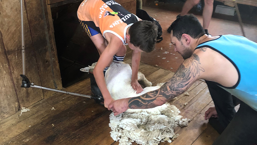 A Life in Wool - Farmstrong - Live Well Farm Well